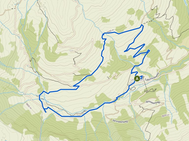 Von Lindlingalm, Saalbach-Hinterglemm nach Forsthofalm, Saalbach ...